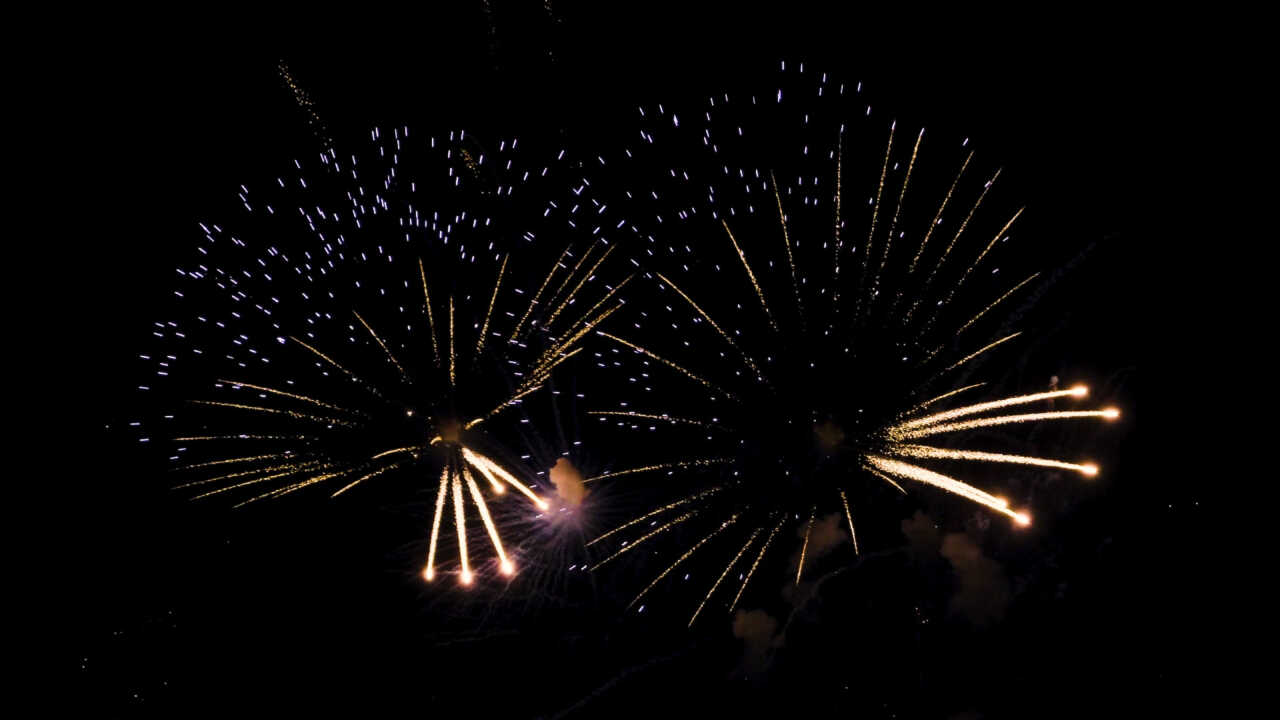 [4k] Fireworks Video Black Footage, FWCK XL Edition, Jellyfish Bleeding ...